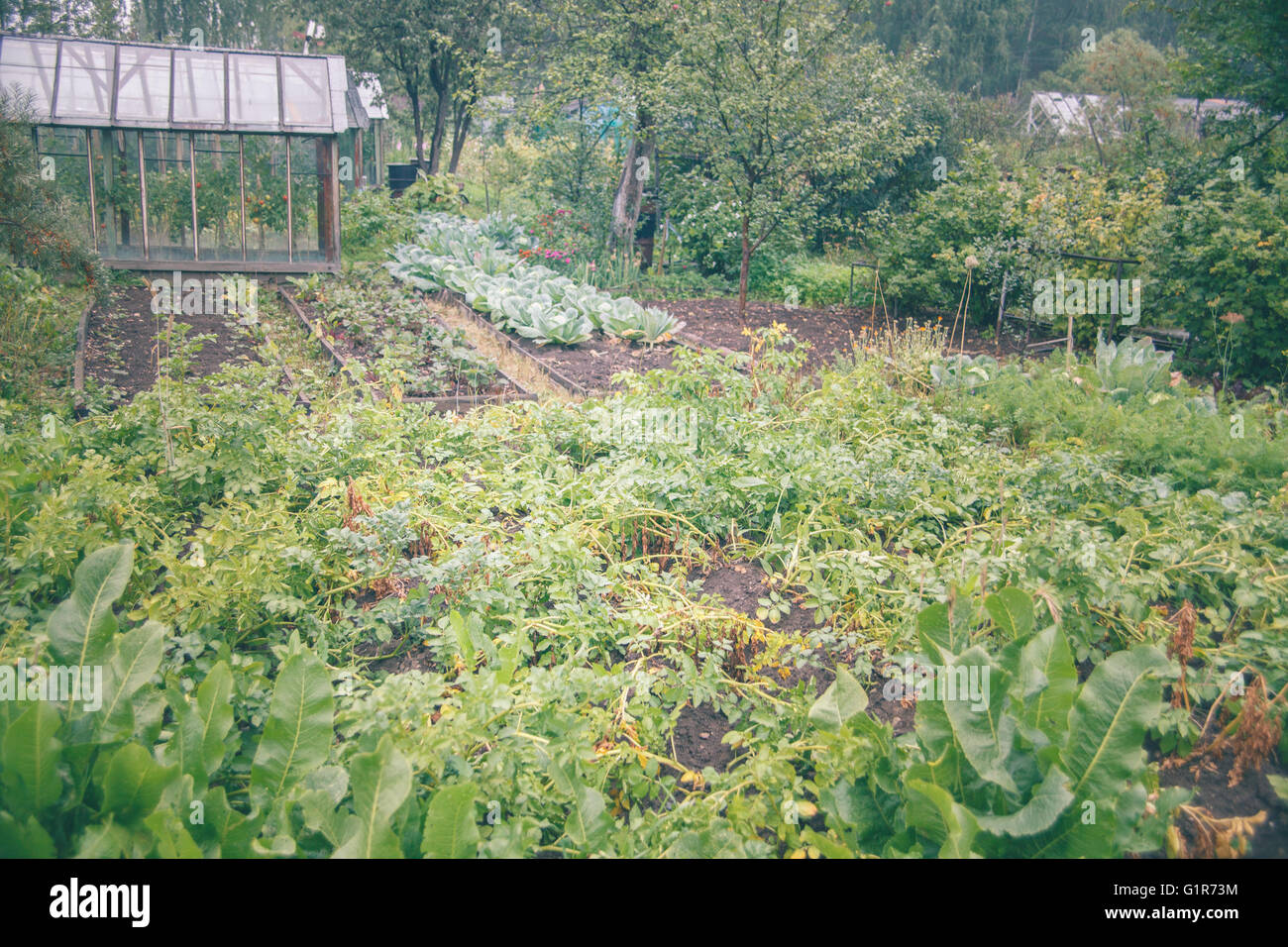 Food production allotments land growing cultivation hi-res stock ...