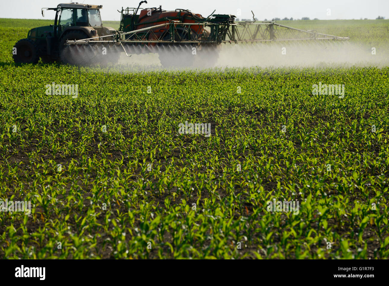 ROMANIA Banat, village Semlac, 2000 hectare farm of german farmer ...