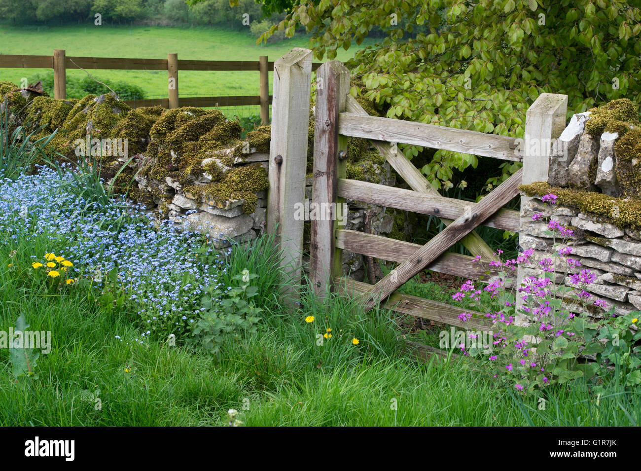 Dry stone walls with gates hi-res stock photography and images - Alamy