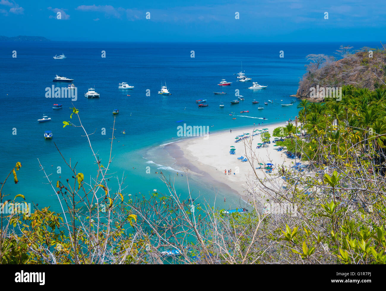 Tropical beach in Tortuga island , Costa Rica Stock Photo - Alamy