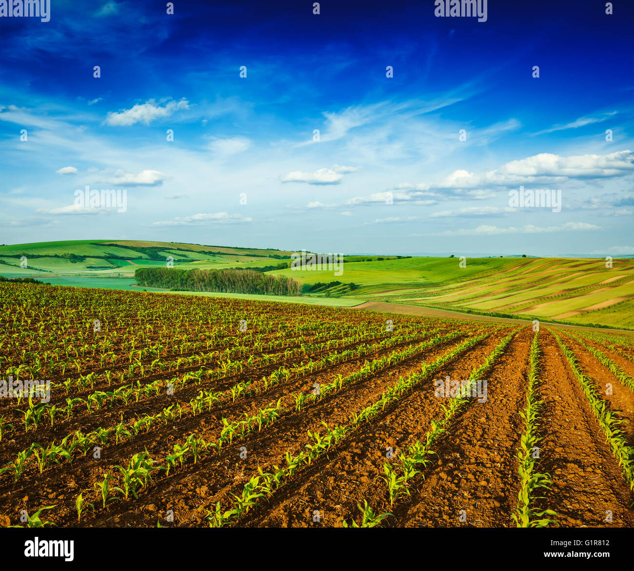Earth rolling hi-res stock photography and images - Alamy