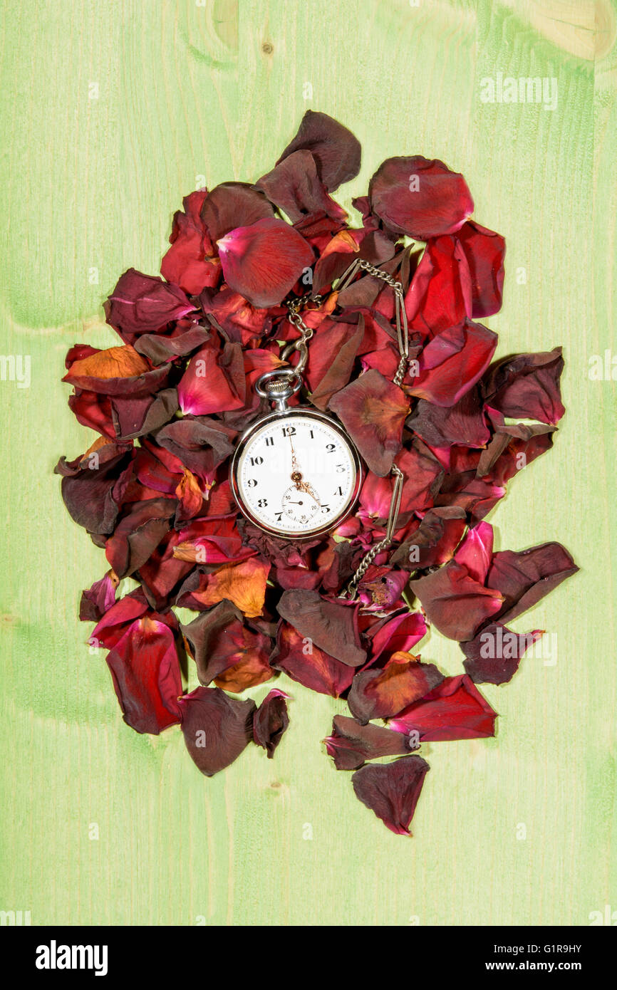 Five Petal Red Rose High Resolution Stock Photography and Images - Alamy