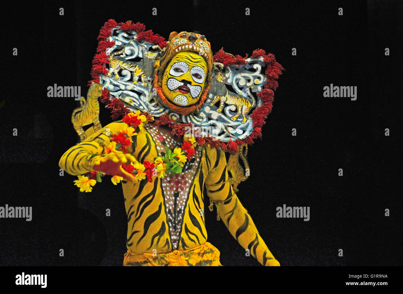 Tiger Mask Dance performed by local tribals of Simlipal Tiger Reserve ...