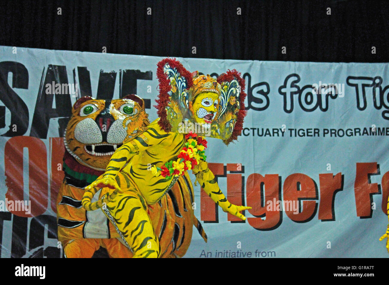 Tiger Mask Dance performed by local tribals of Simlipal Tiger Reserve ...