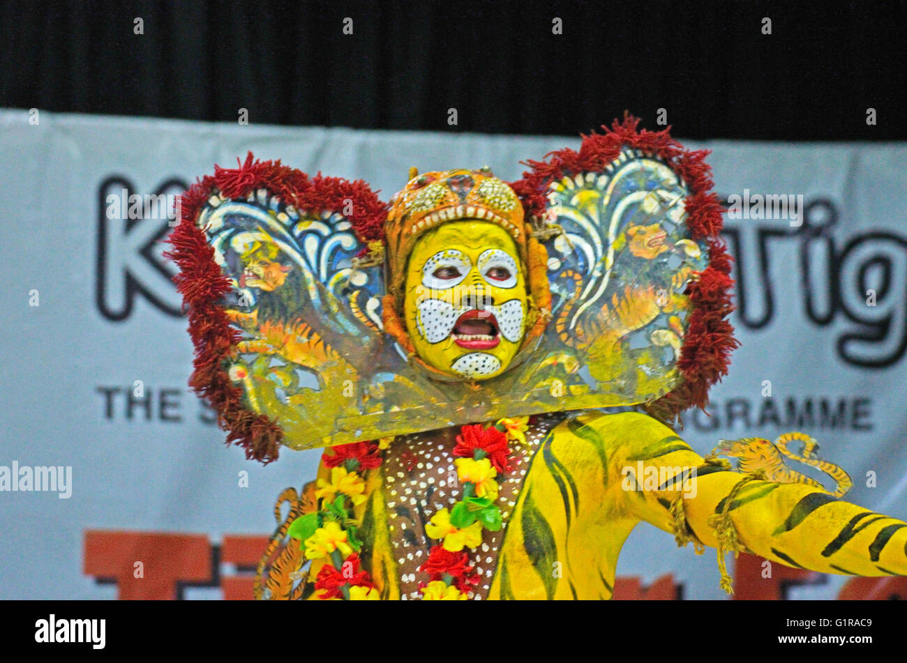 Tiger Mask Dance performed by local tribals of Simlipal Tiger Reserve ...