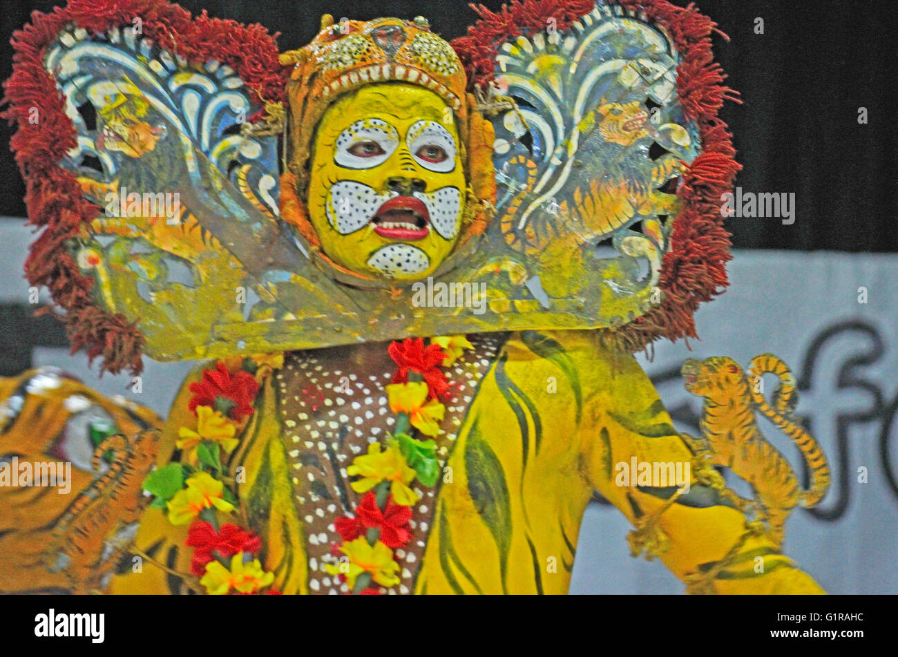 Tiger Mask Dance performed by local tribals of Simlipal Tiger Reserve ...