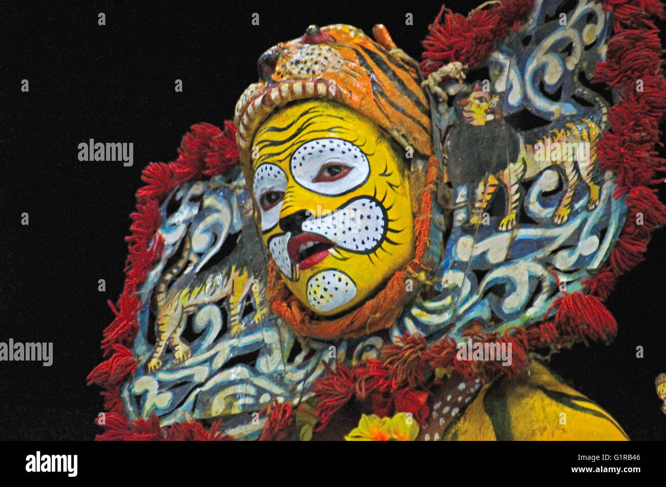 Tiger Mask Dance performed by local tribals of Simlipal Tiger Reserve ...