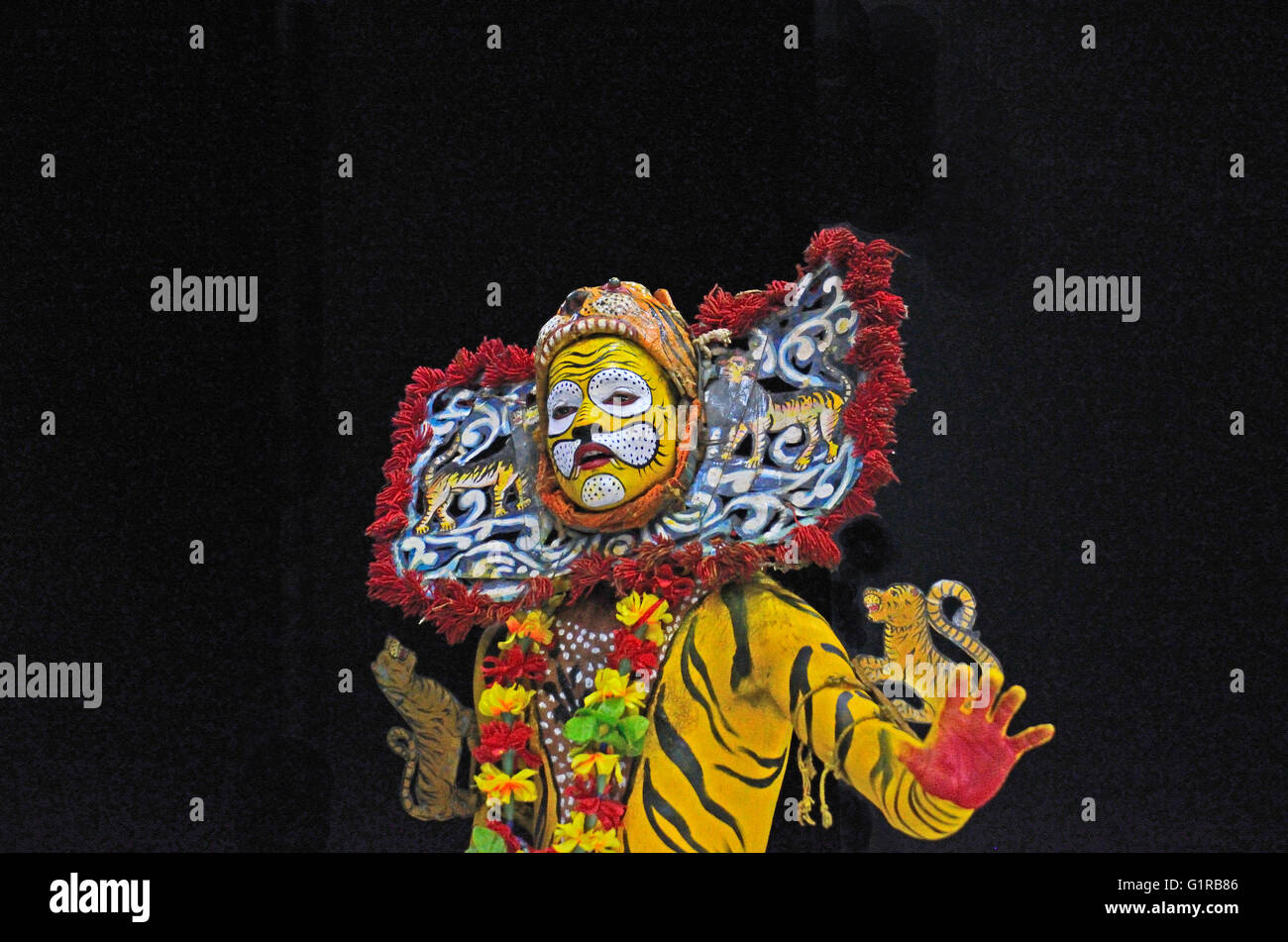 Tiger Mask Dance performed by local tribals of Simlipal Tiger Reserve ...