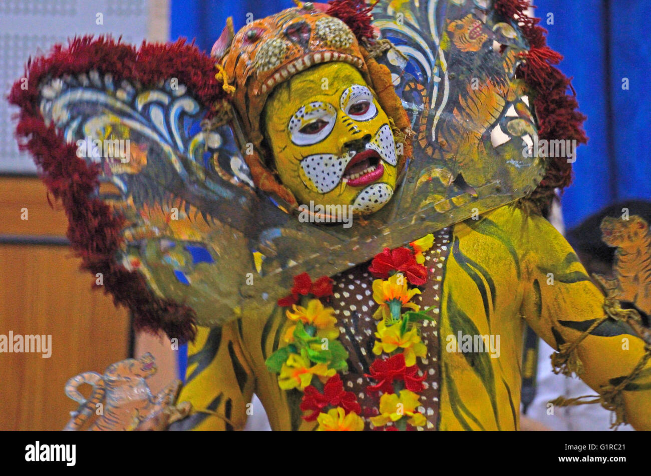 Tiger Mask Dance performed by local tribals of Simlipal Tiger Reserve ...