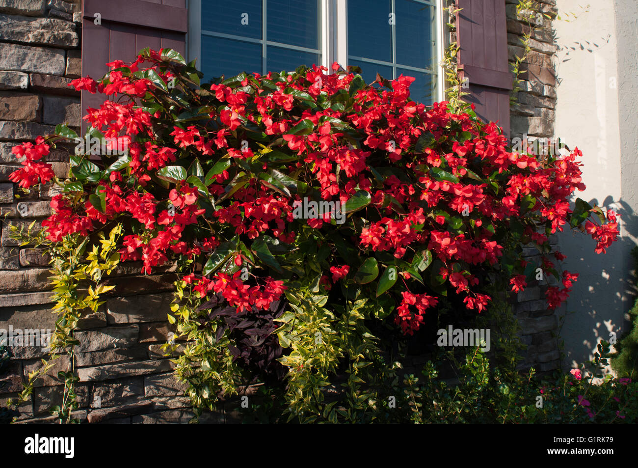 Suburban commercial area hi-res stock photography and images - Alamy