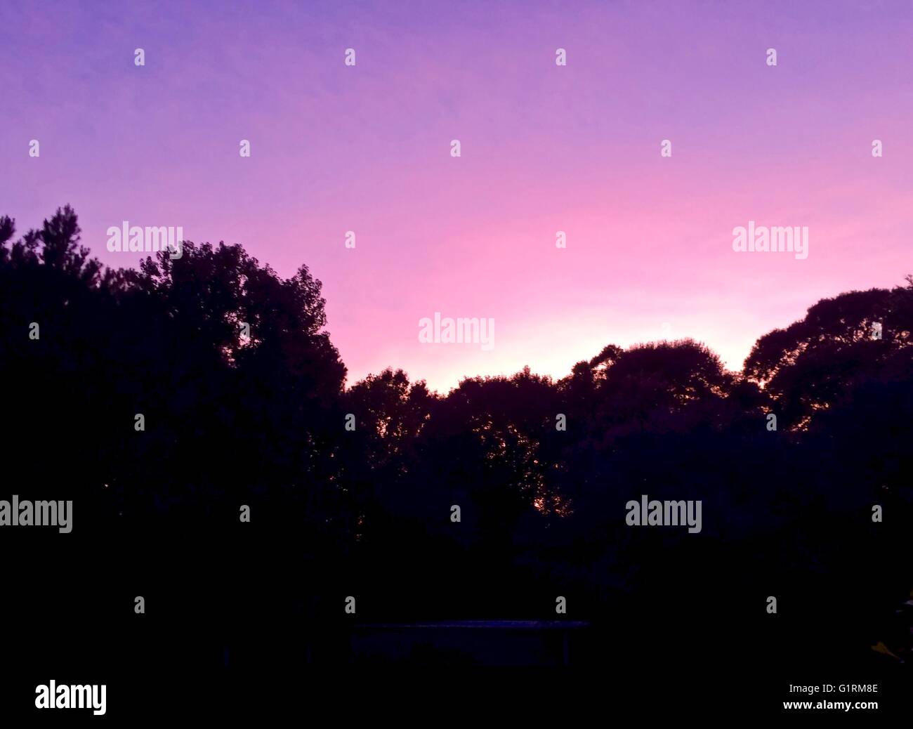 Purple horizon hi-res stock photography and images - Alamy