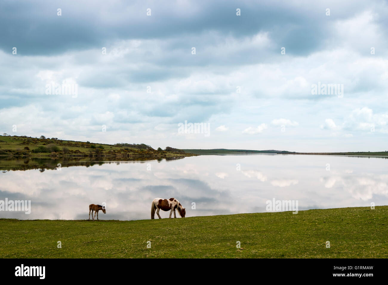 photos of colliford lake Stock Photo - Alamy