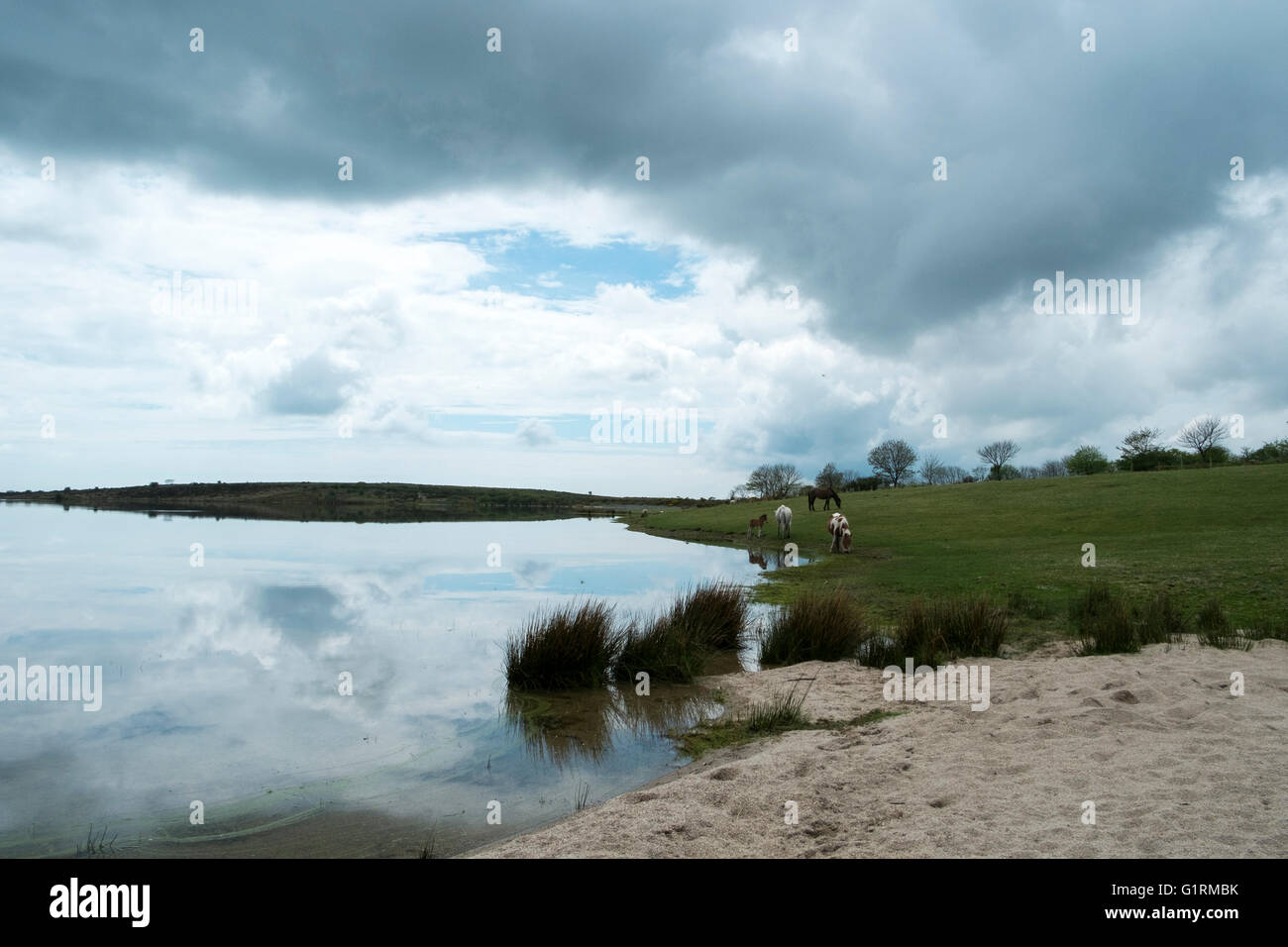 photos of colliford lake Stock Photo - Alamy