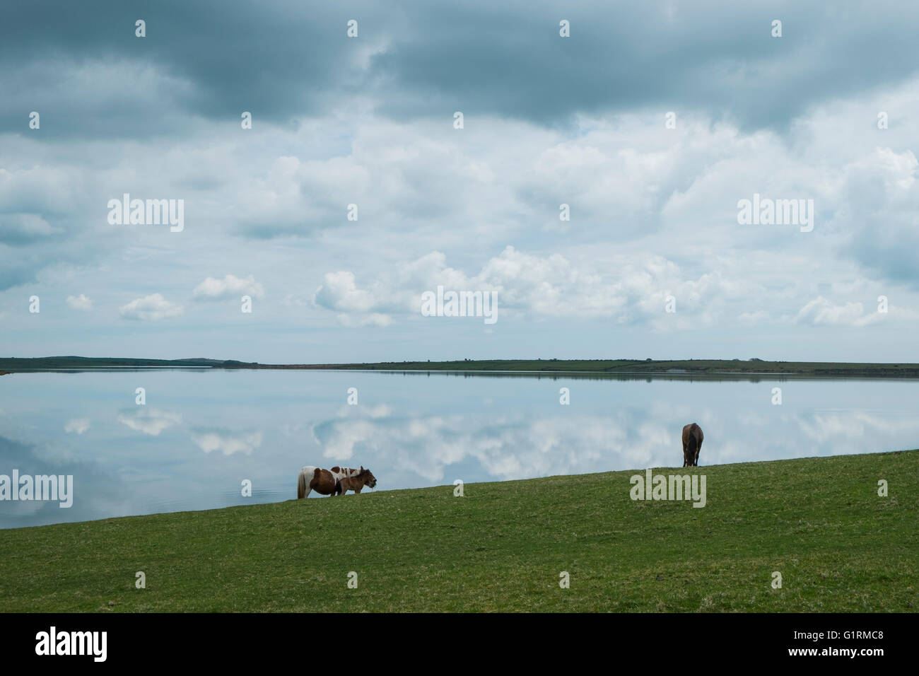 photos of colliford lake Stock Photo - Alamy