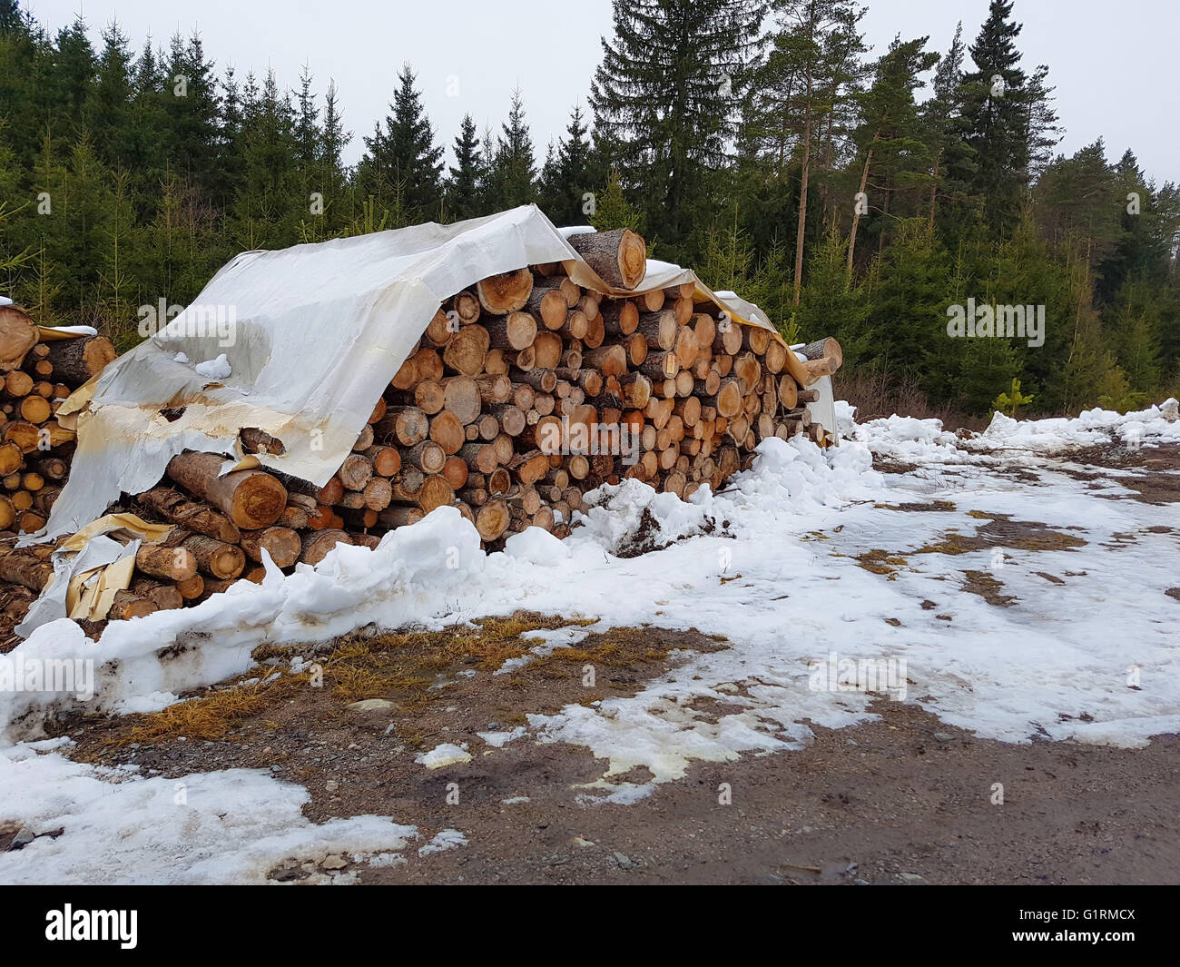 Pile of brown firewood logs, on a cold winter day Stock Photo - Alamy