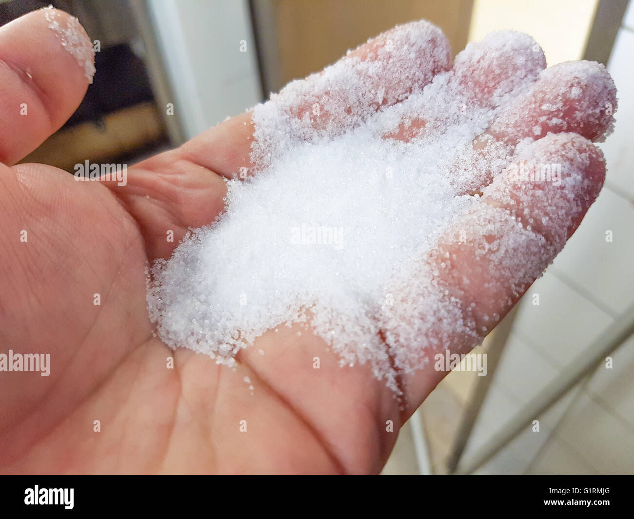 Fresh grinded, white salt, on a chefs hand Stock Photo - Alamy