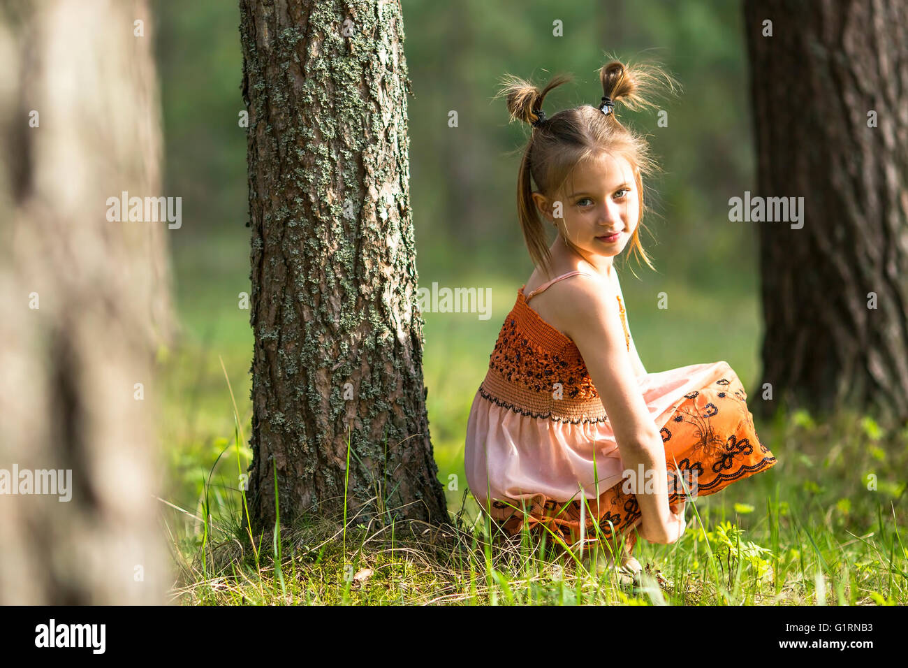 Little girl in dress sitting near a tree in a pine forest Stock Photo ...