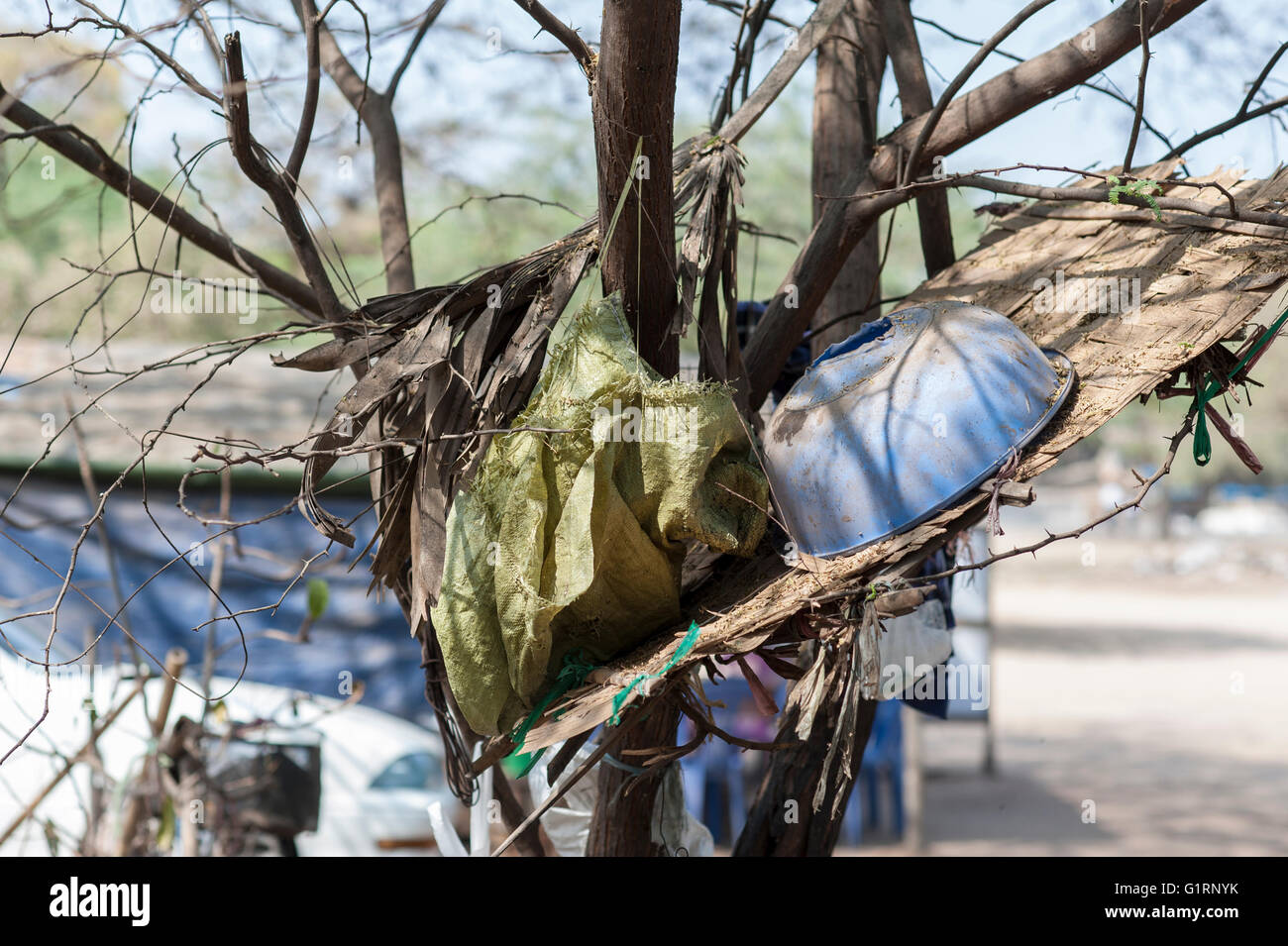 Myanmar tree hi-res stock photography and images - Alamy