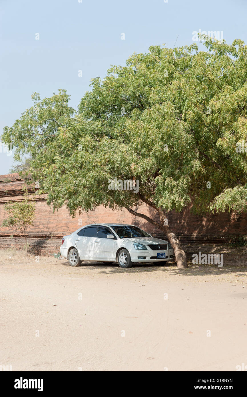 White car is parked under a tree Stock Photo - Alamy