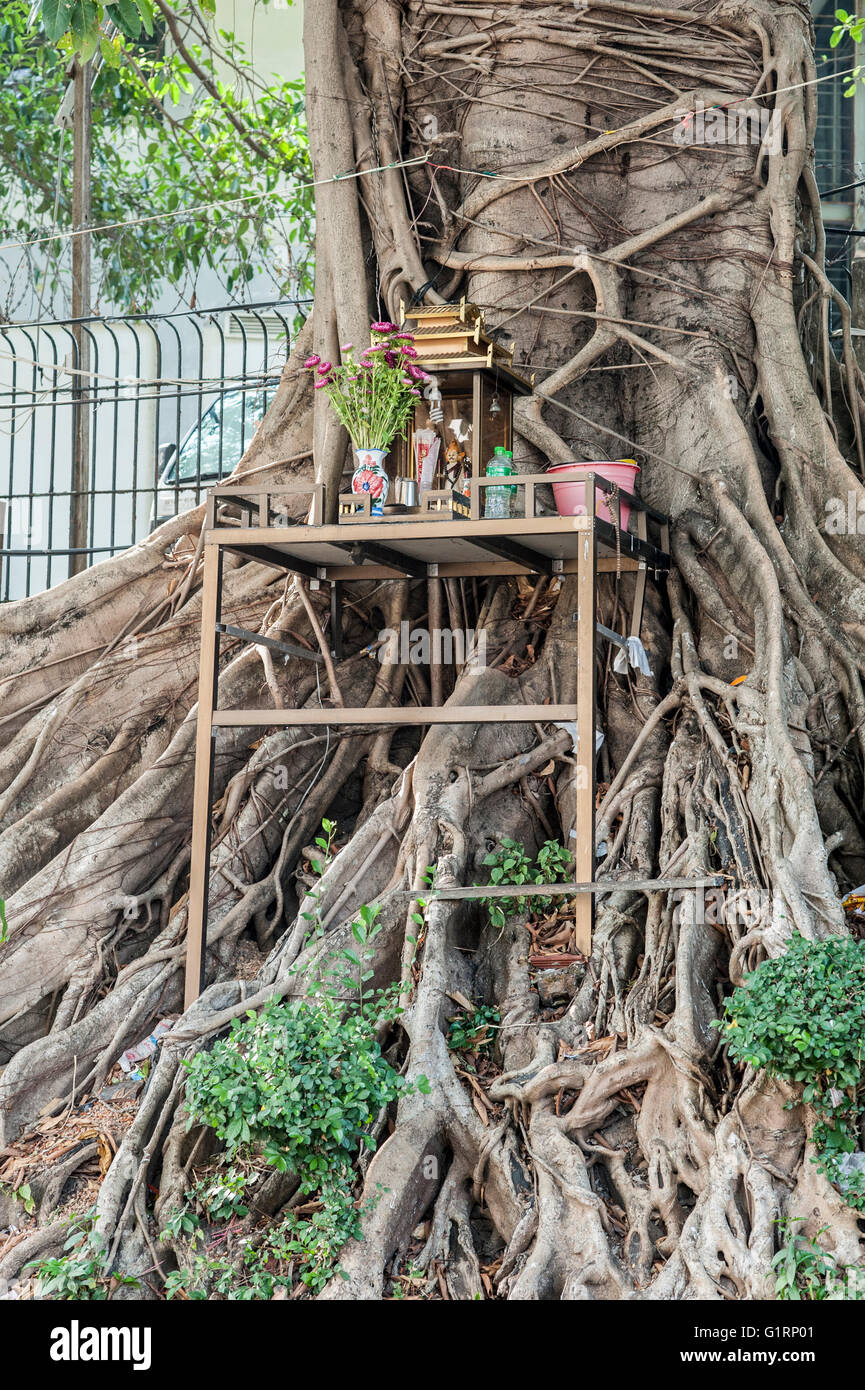 A small Buddhist tree shrine in Yangon, Myanmar. Tree is used for a ...