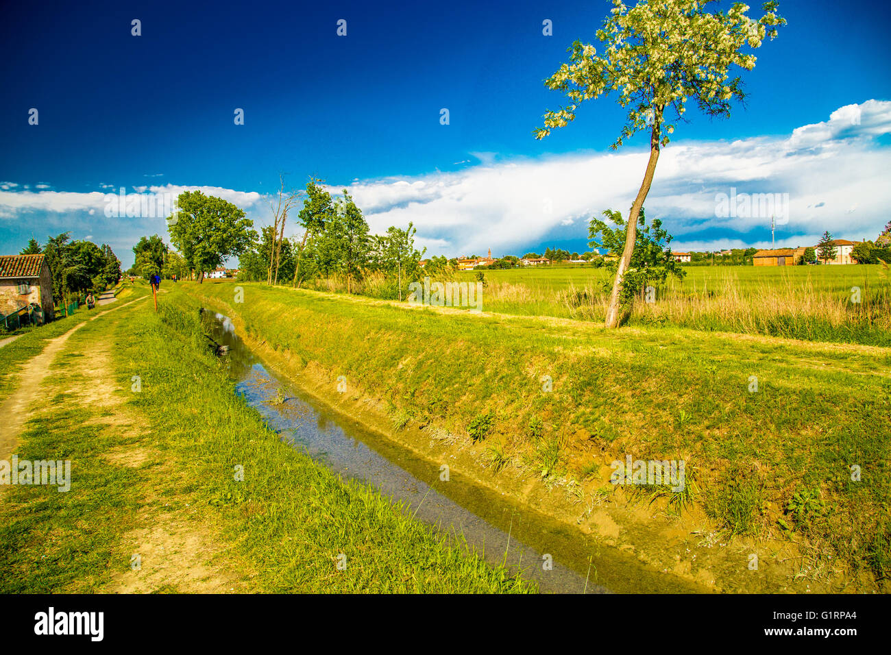 channel with drainage and irrigation water in the countryside of ...