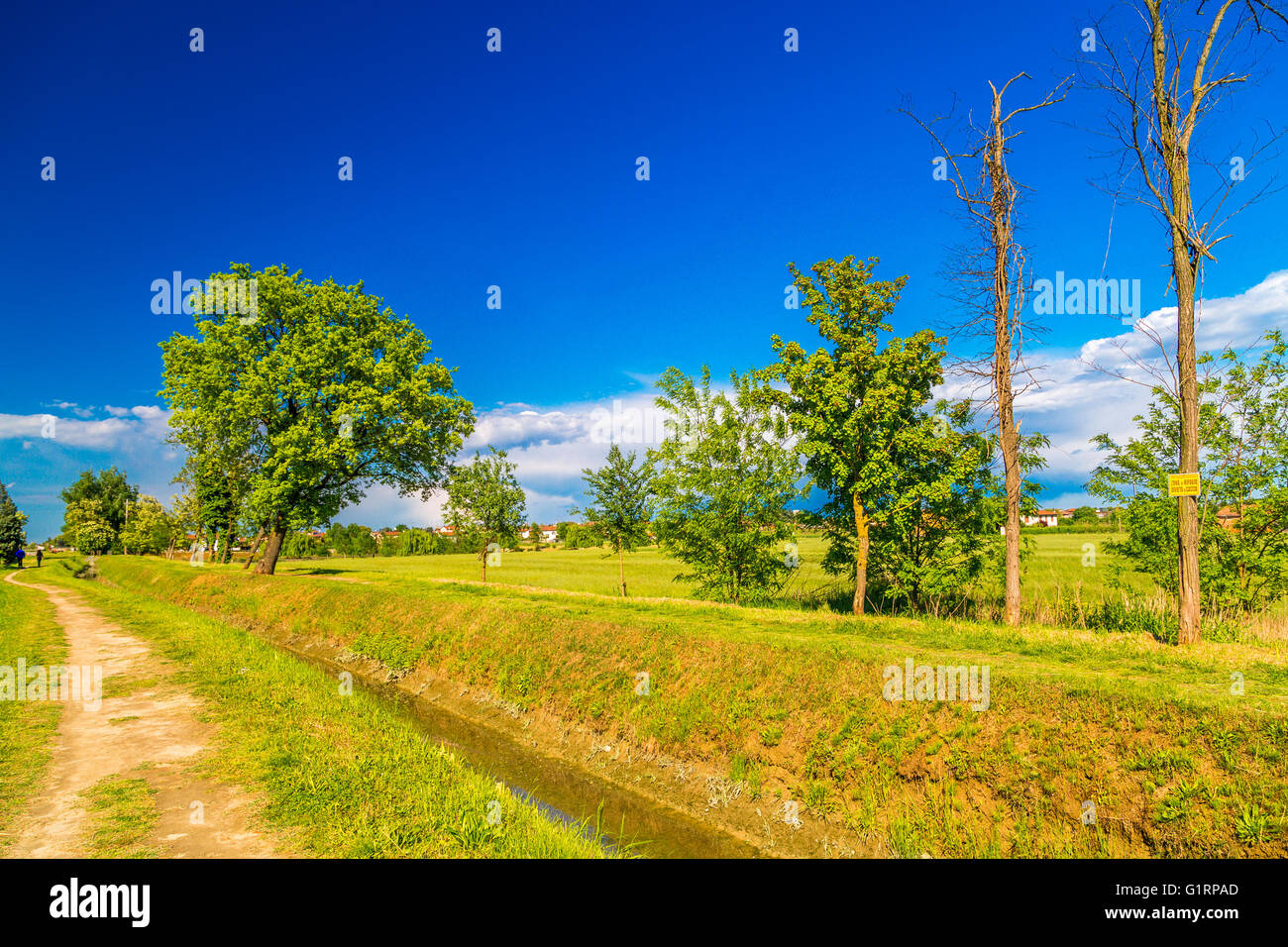 channel with drainage and irrigation water in the countryside of ...