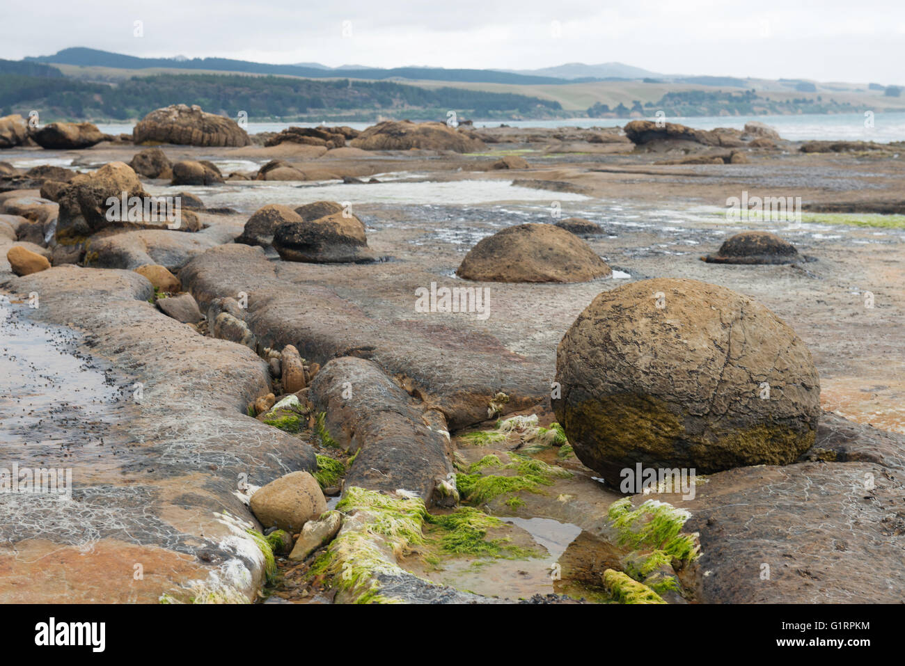 Katiki Boulders on Shag Point, New Zealand Stock Photo - Alamy
