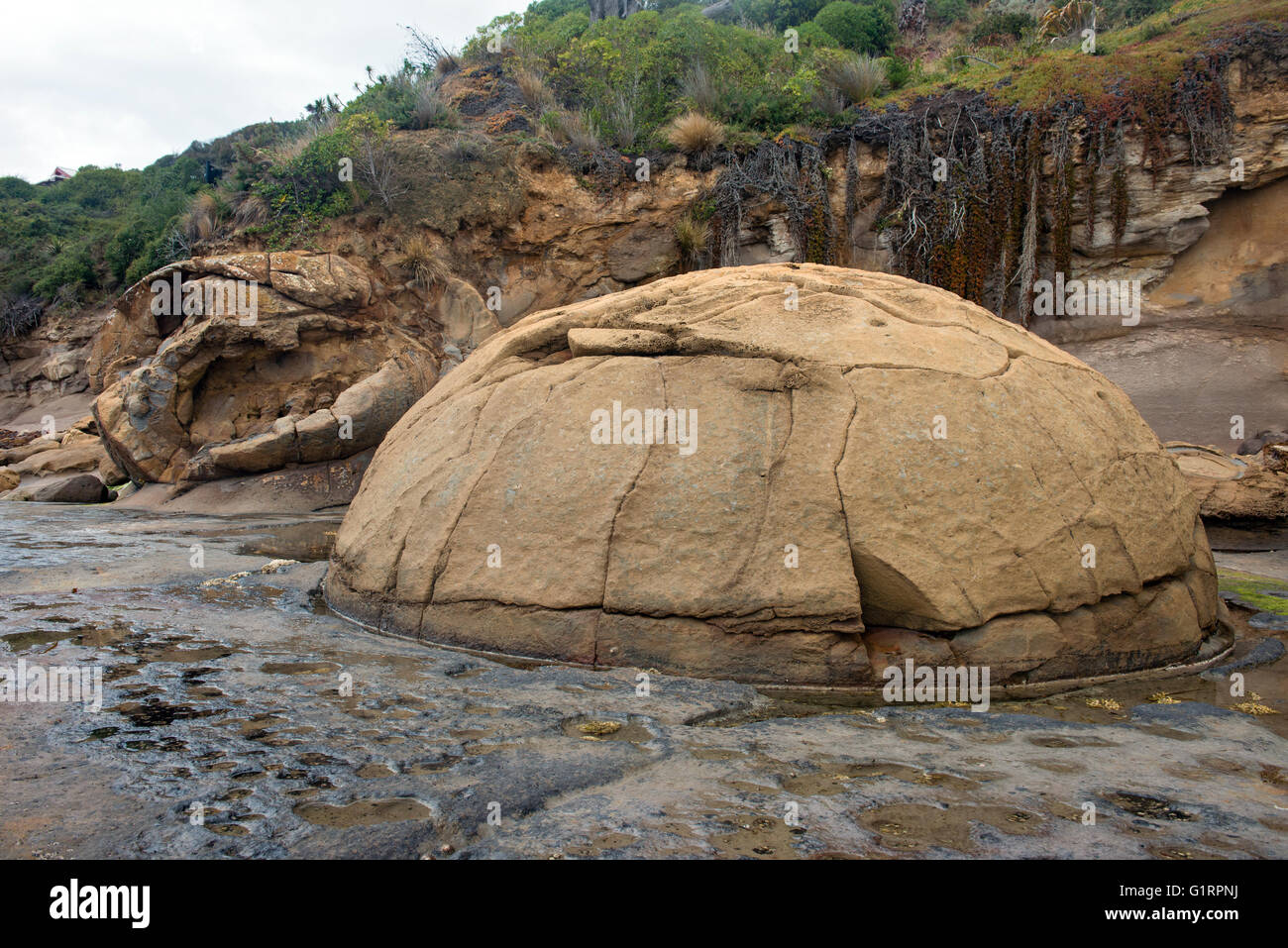 Katiki Boulders on Shag Point, New Zealand Stock Photo - Alamy