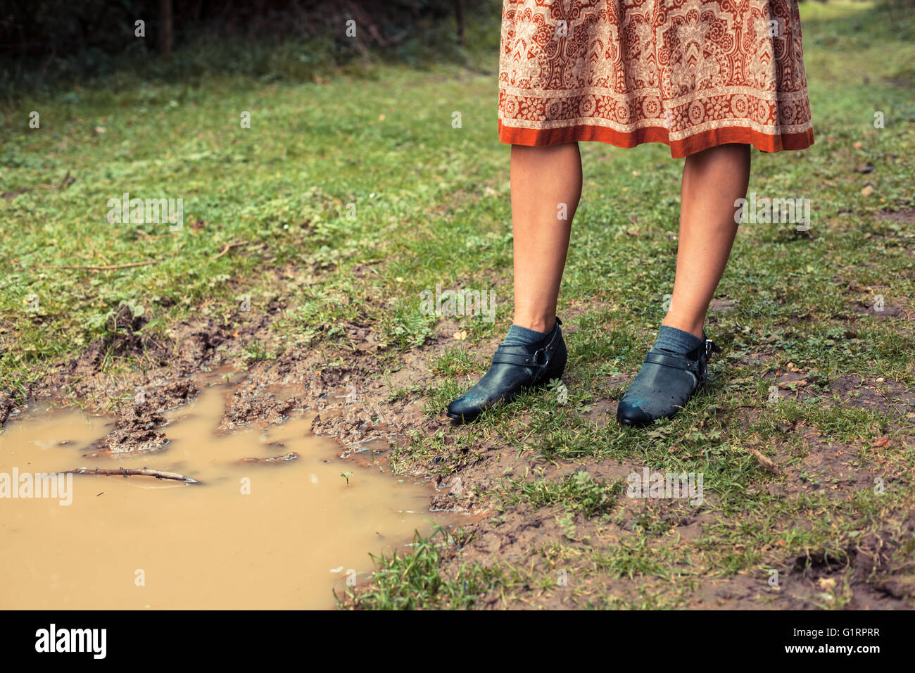 Puddle rain forest hi-res stock photography and images - Alamy