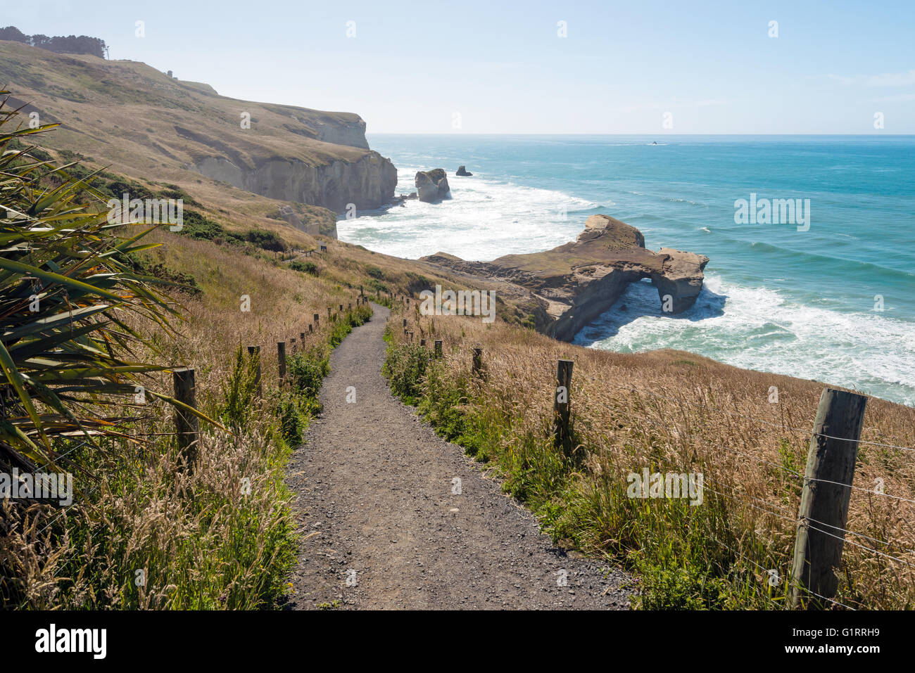 Pacific ocean coast with path down to the Natural arch at Tunnel beach ...