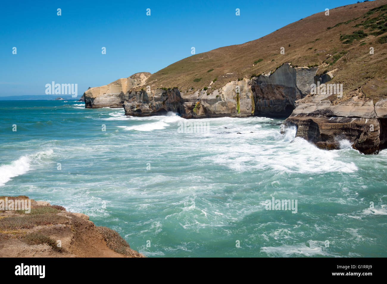 Pacific ocean coast near Dunedin, New Zealand Stock Photo - Alamy