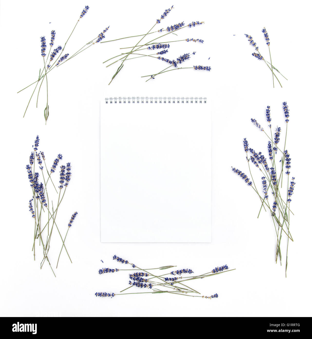 Lavender frame hi-res stock photography and images - Alamy