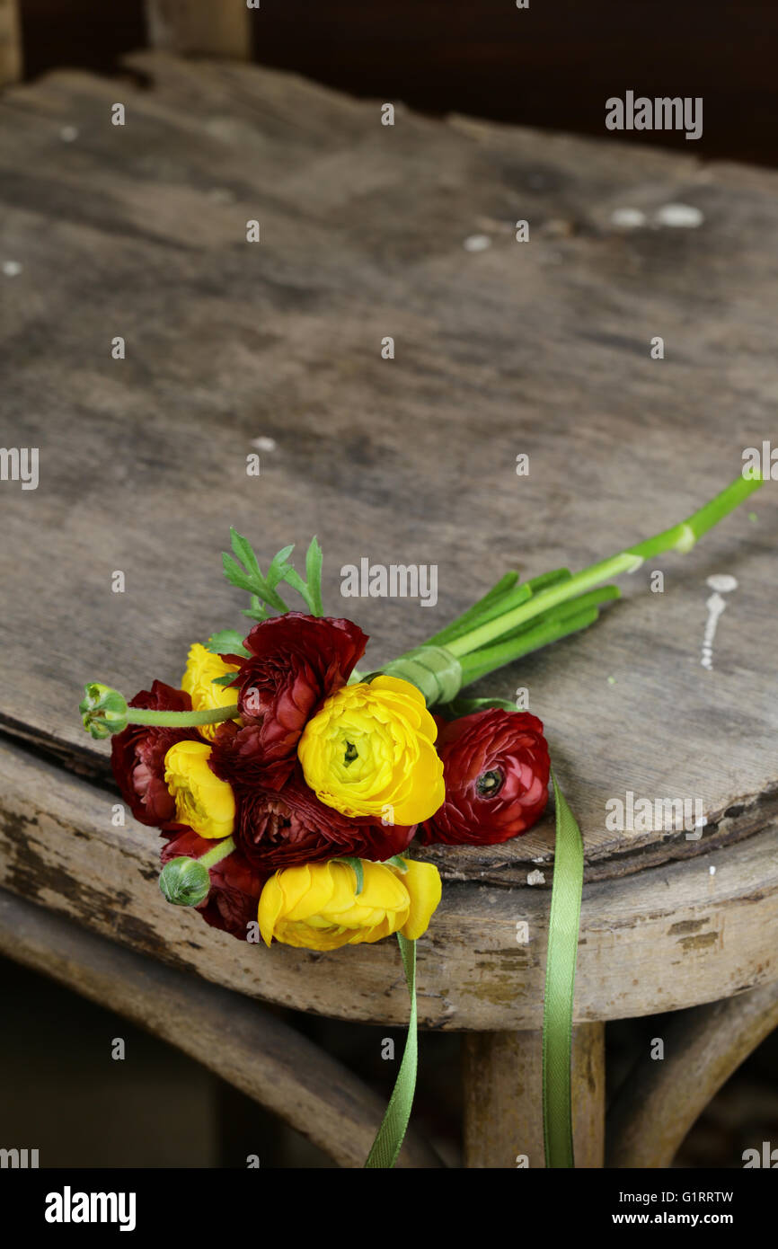 Beautiful spring buttercup (ranunculus) flowers red and yellow Stock ...