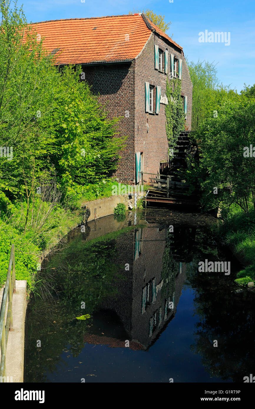 Nettetal leuth hi-res stock photography and images - Alamy