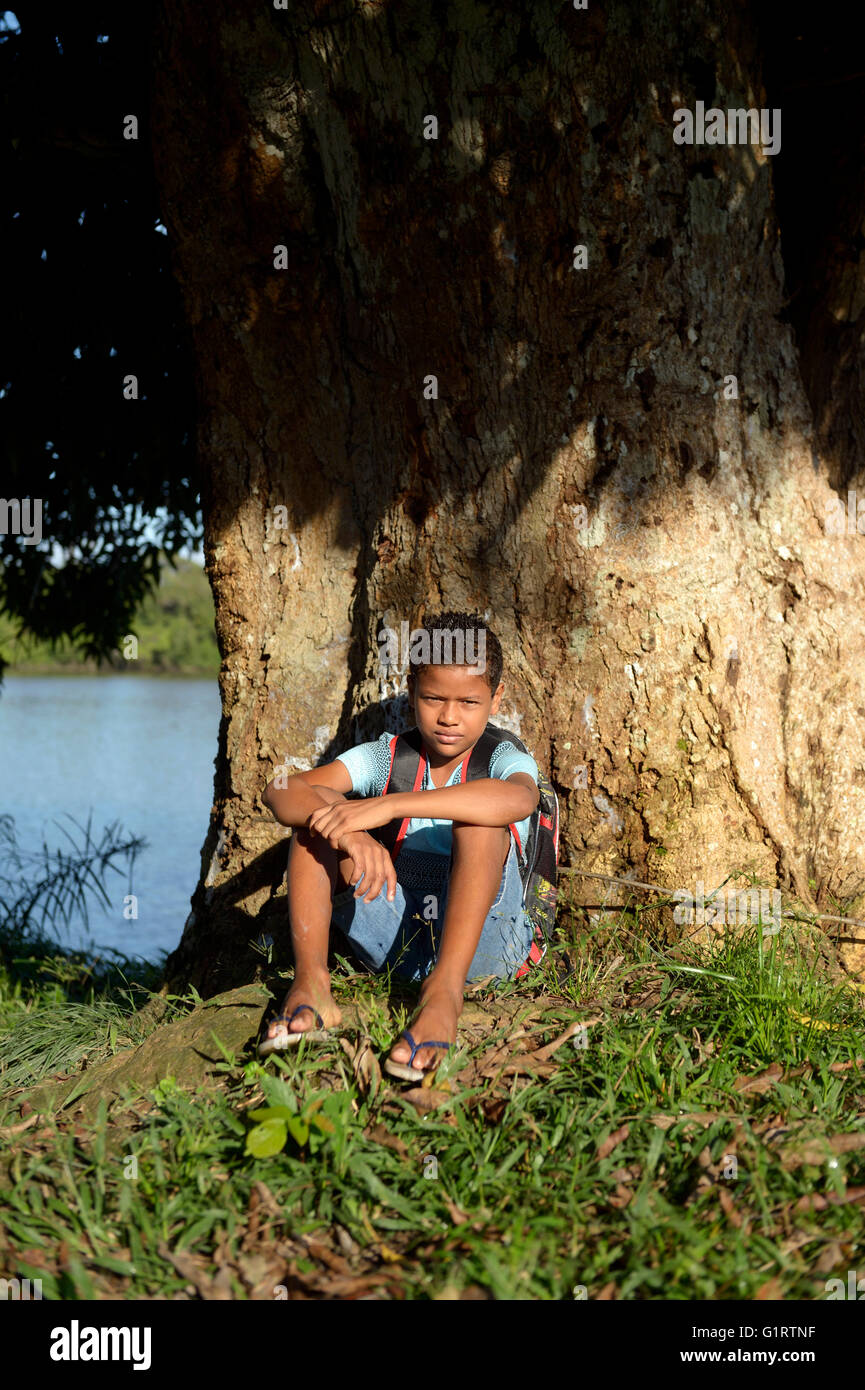 Mango Tree High Resolution Stock Photography and Images - Alamy