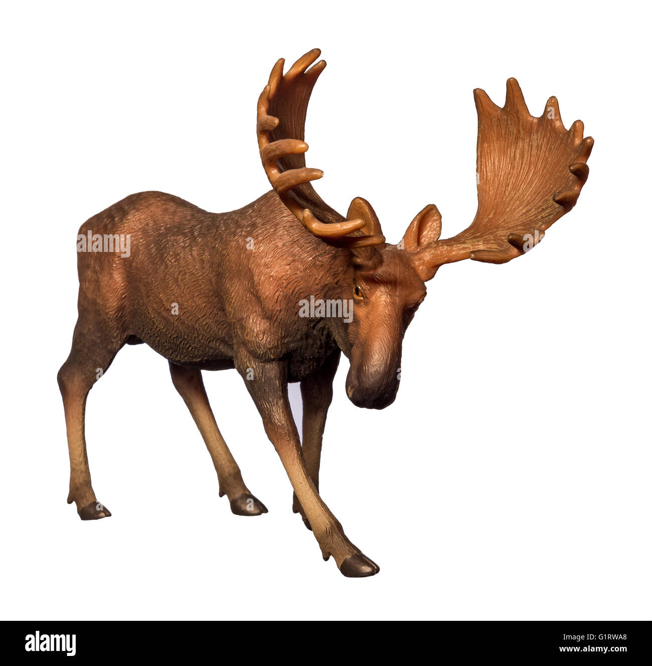 Head li Cut Out Stock Images & Pictures - Alamy