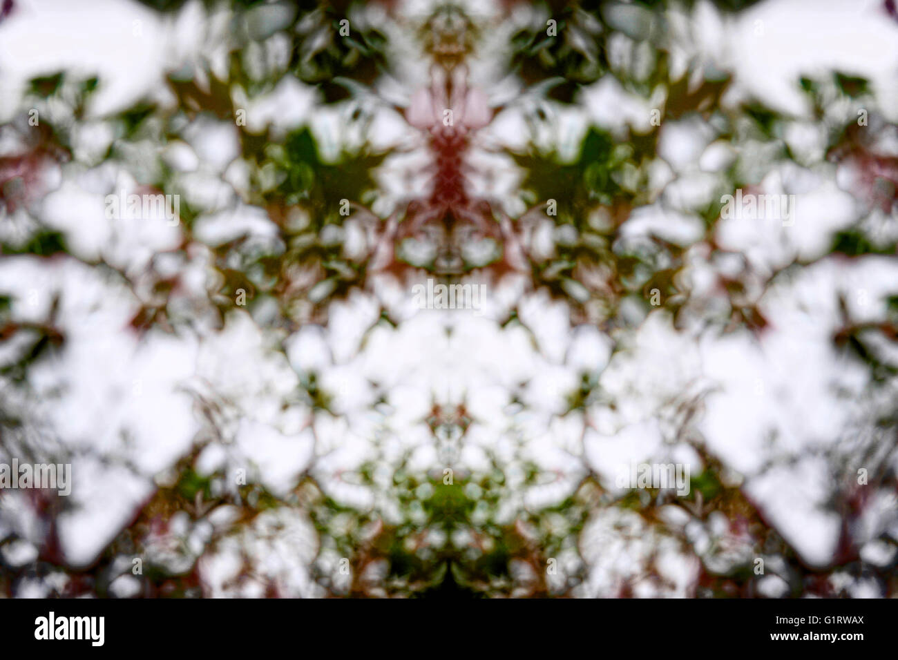 Desaturated red, green and white kaleidoscope pattern Stock Photo - Alamy