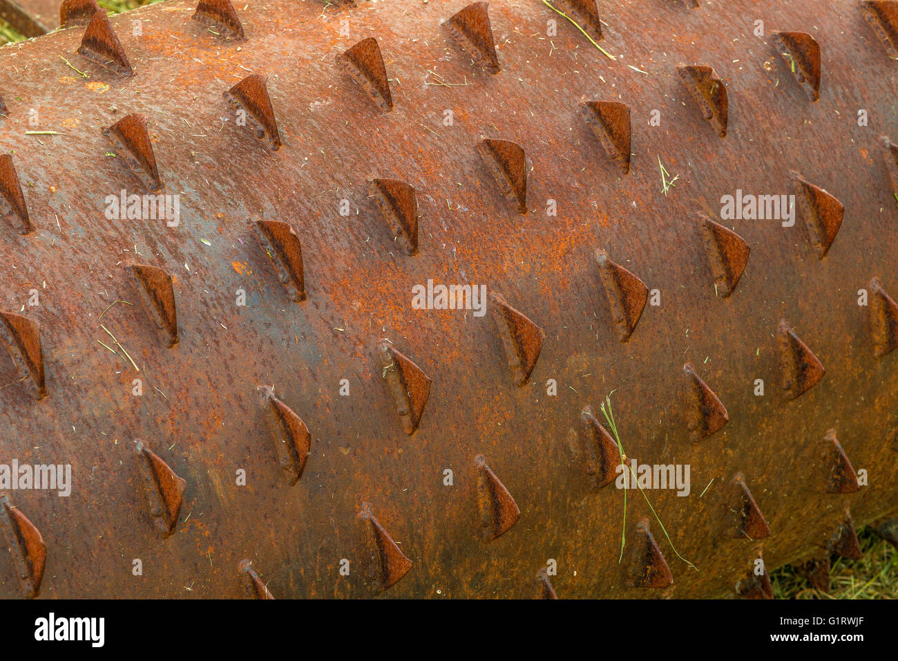 rusty iron cylinder with sharp points to puncture the grassy surface of ...