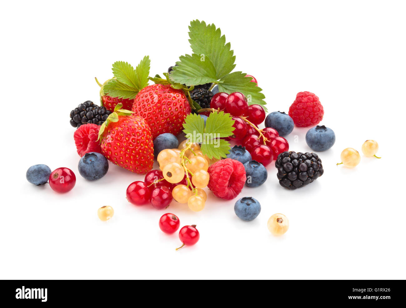 Banner red berries wild Cut Out Stock Images & Pictures - Alamy