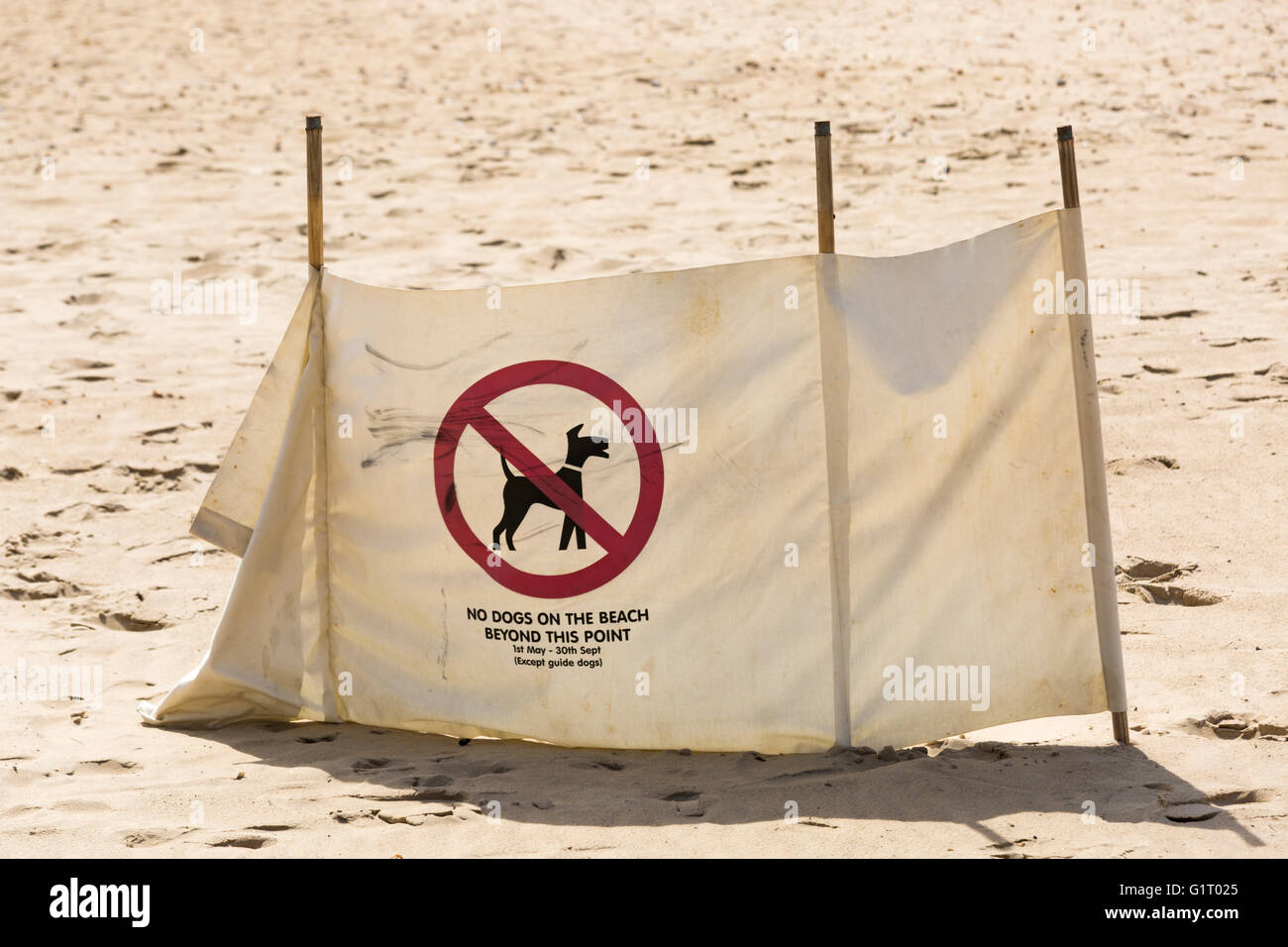 No dogs beyond this point sign hi-res stock photography and images - Alamy