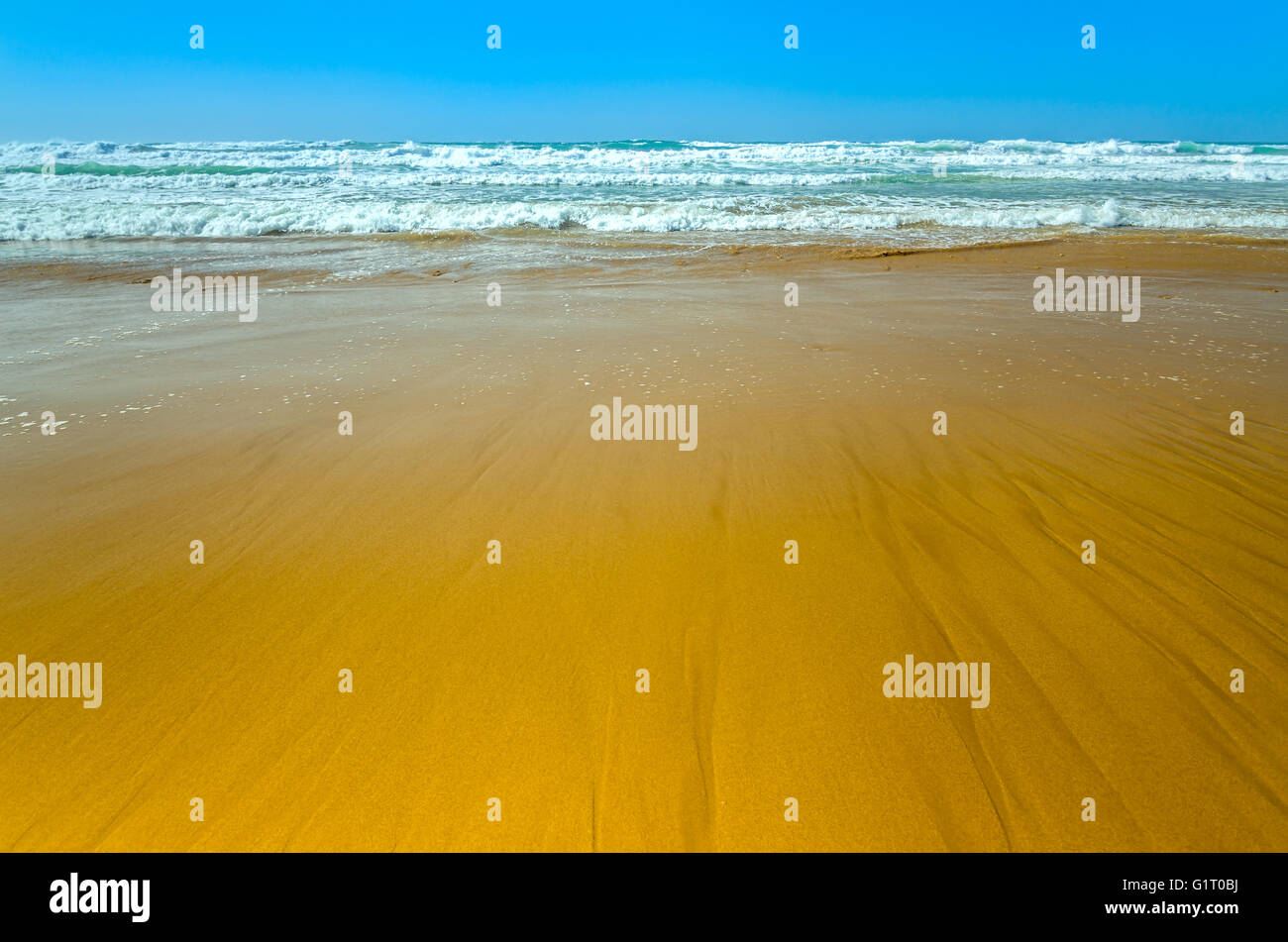 Beautiful oceanic beach with yellow sand and blue sky Stock Photo - Alamy