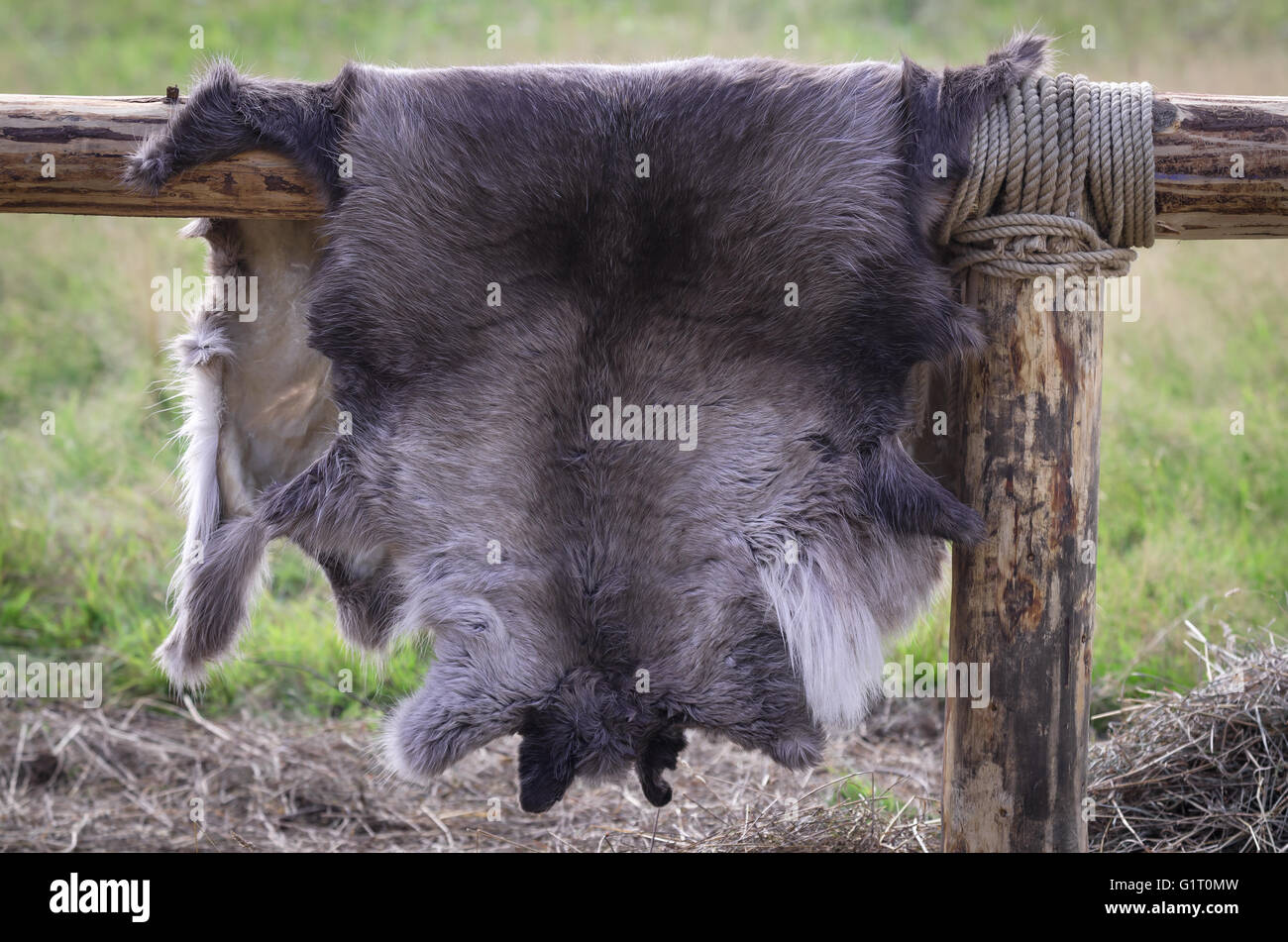 Hanging cloth backdrop hi-res stock photography and images - Alamy