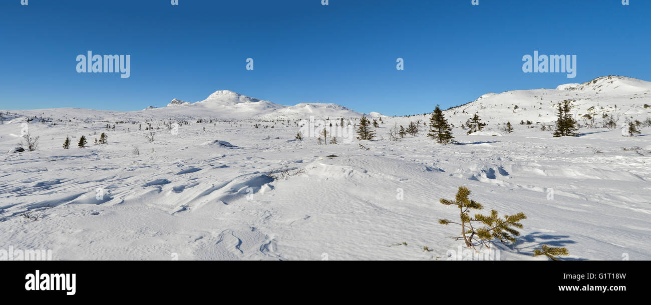 Telemark norway hi-res stock photography and images - Alamy