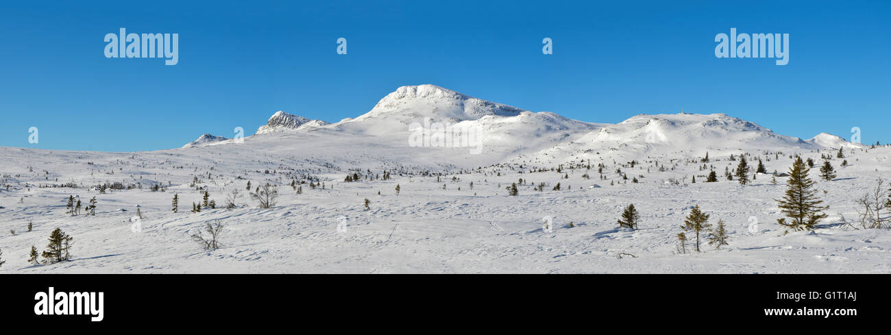 Telemark norway hi-res stock photography and images - Alamy