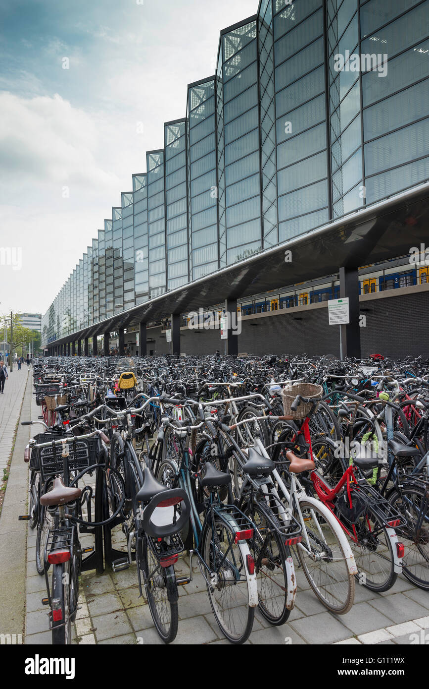 Rotterdam central station hi-res stock photography and images - Alamy