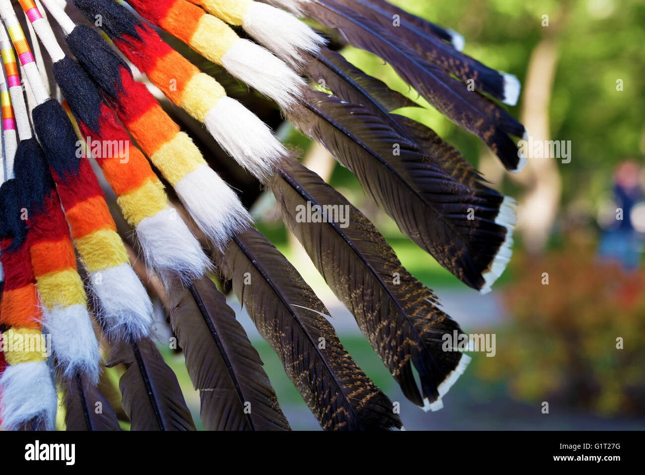 Multi colored feathers hi-res stock photography and images - Alamy