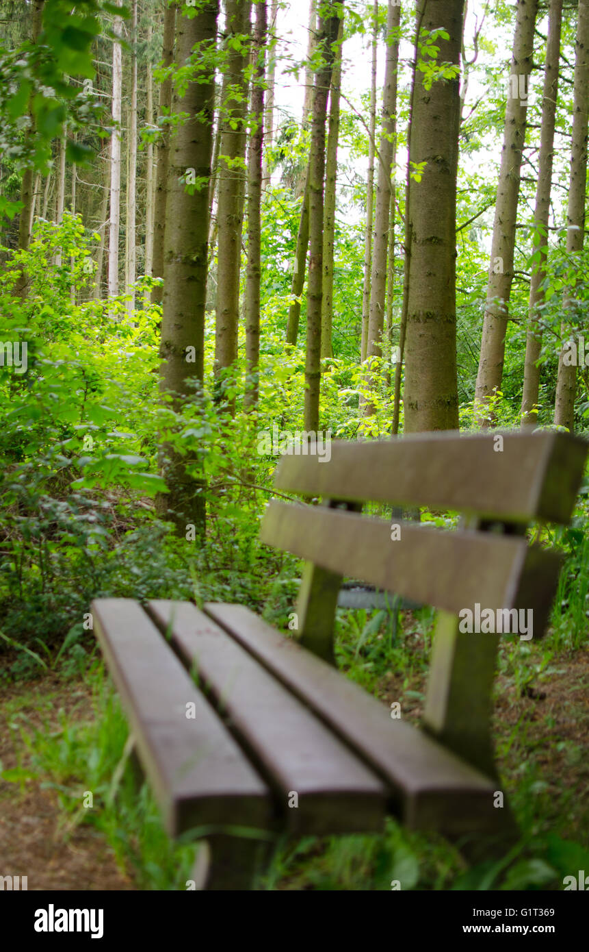 Bench in the forest Stock Photo - Alamy