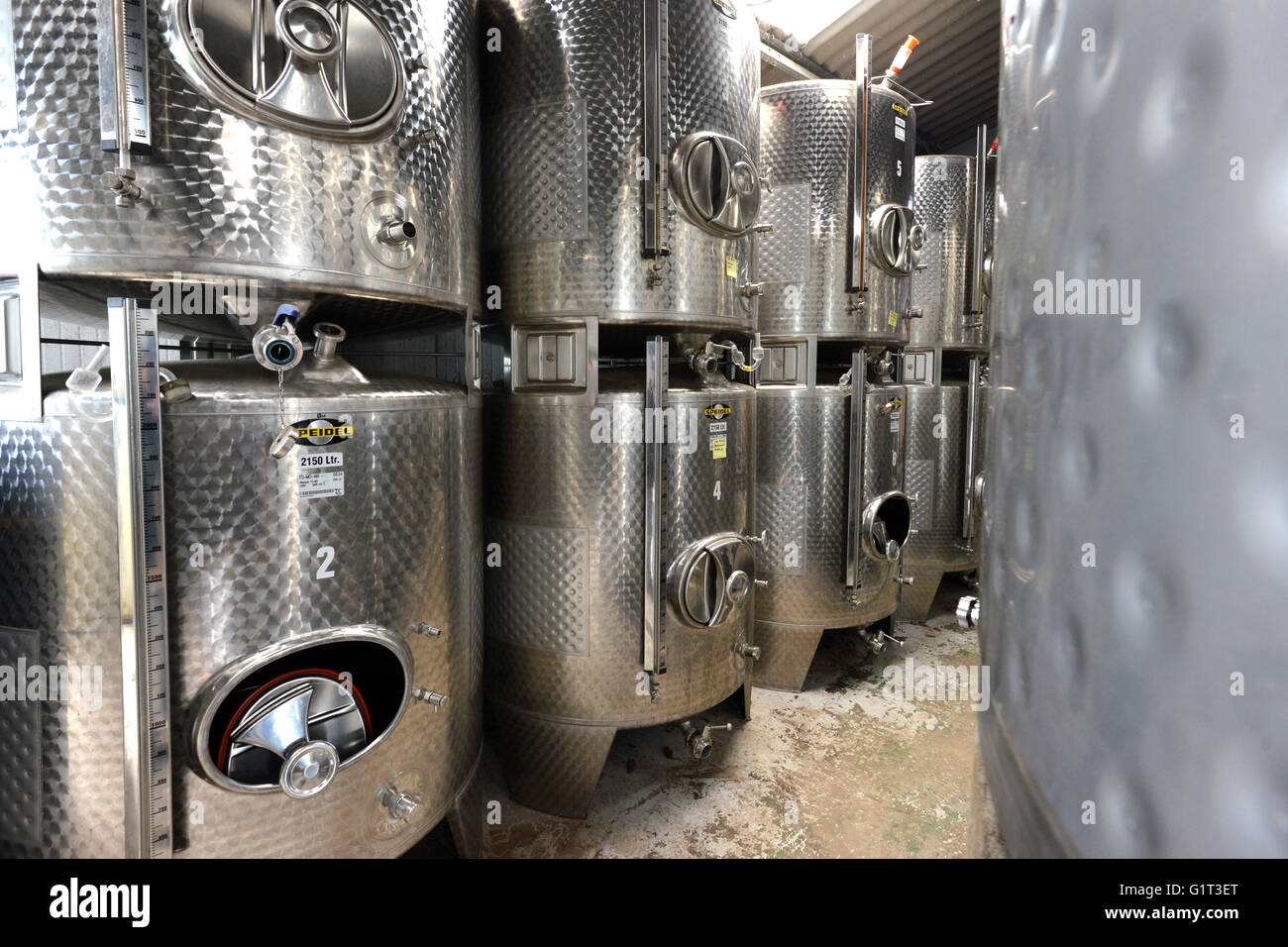 Kingscote Vineyard, East Grinstead, UK Stock Photo - Alamy