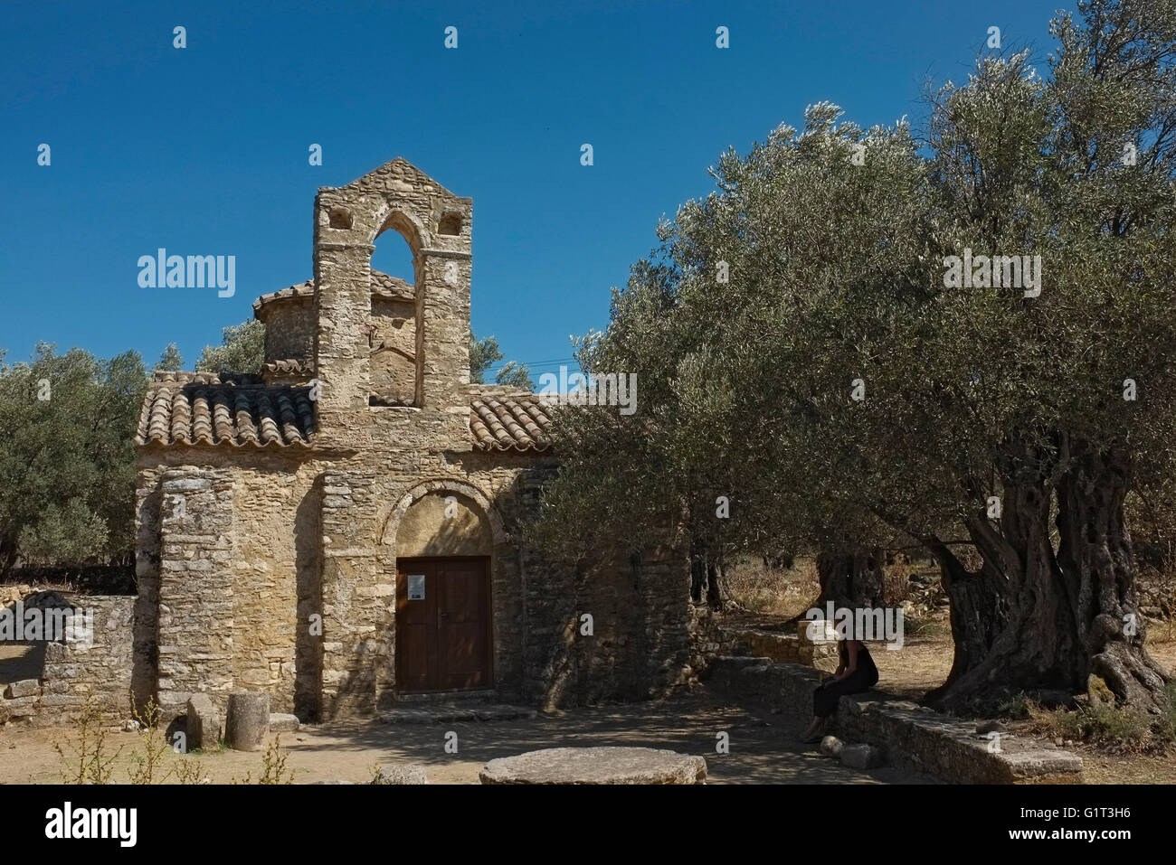Byzantine church olive tree hi-res stock photography and images - Alamy