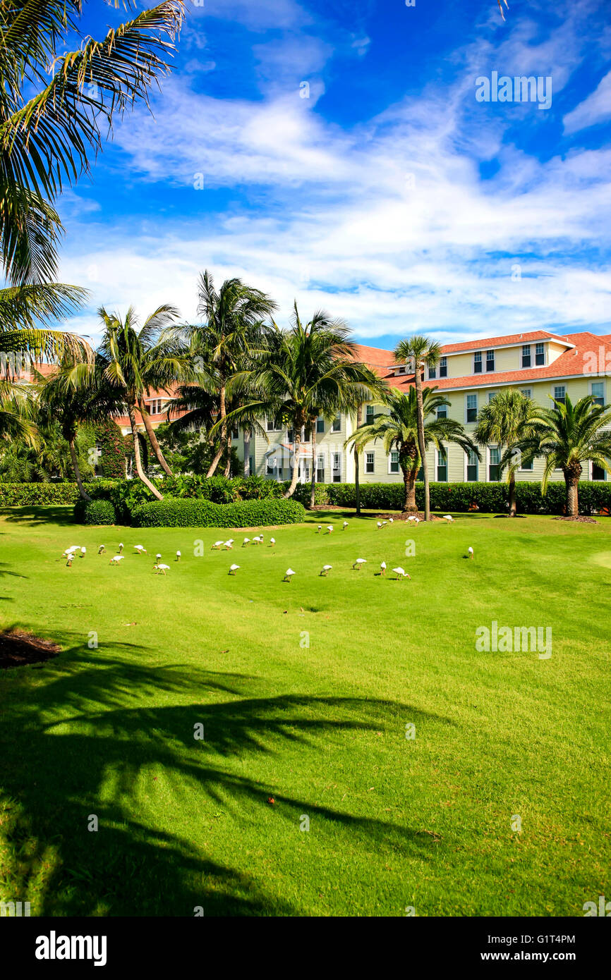 Overlooking the golf course of the Gasparilla Inn & Club, Boca Grande ...